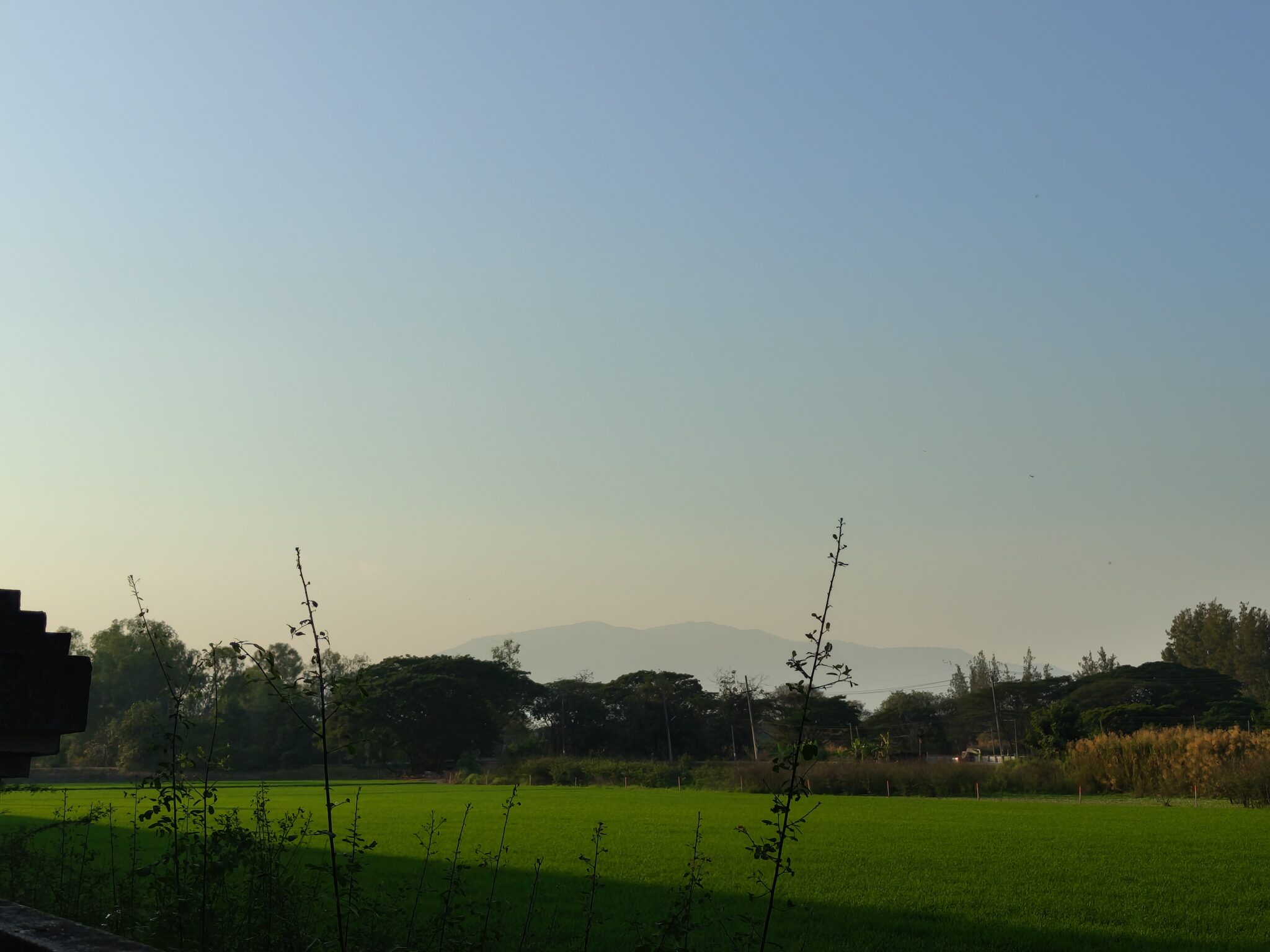จากไฟป่าสู่ไฟเกษตร: สำรวจสถานการณ์สุขภาพและการเผาที่เกี่ยวข้องกับฝุ่น PM2.5 ในปี 2567 - Rocket ...