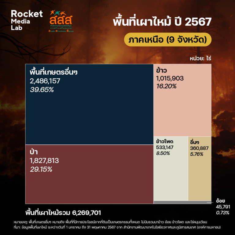 จากไฟป่าสู่ไฟเกษตร: สำรวจสถานการณ์สุขภาพและการเผาที่เกี่ยวข้องกับฝุ่น PM2.5 ในปี 2567 - Rocket ...